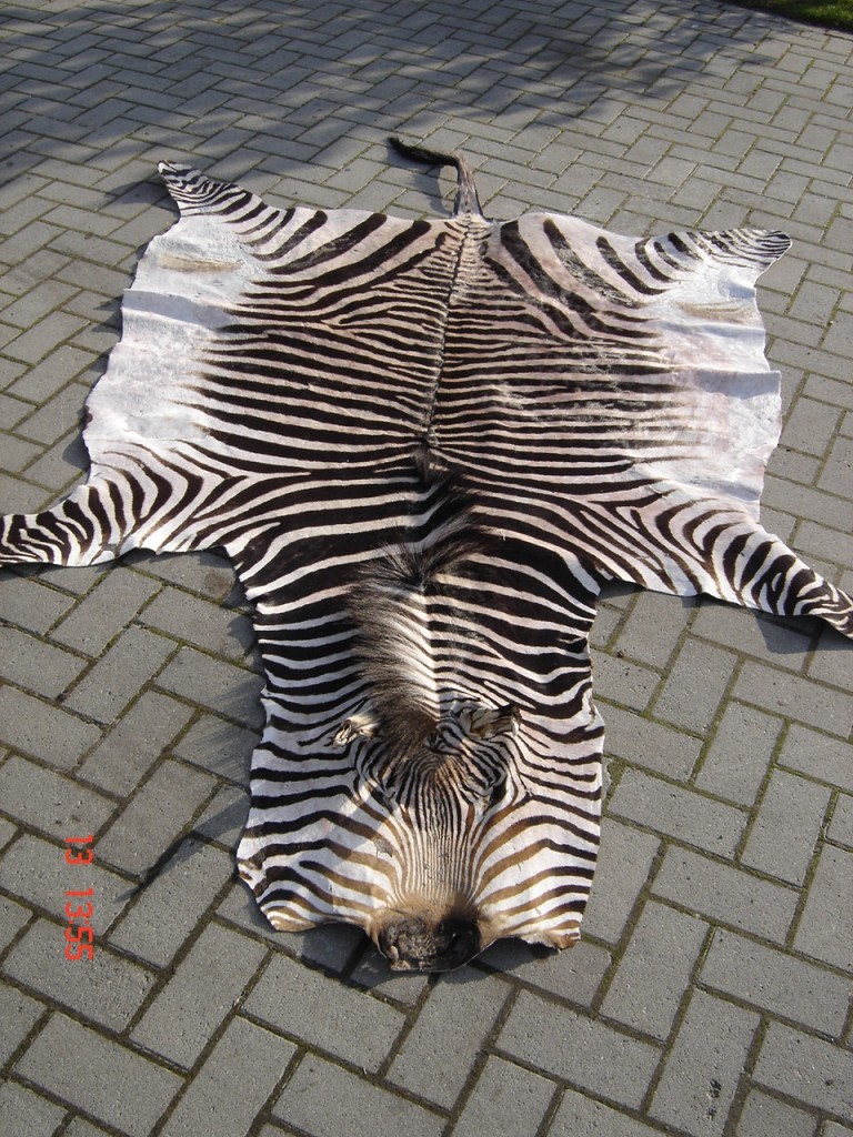 Felle - Tierpräparation und Fellgerbung Marco Scharf