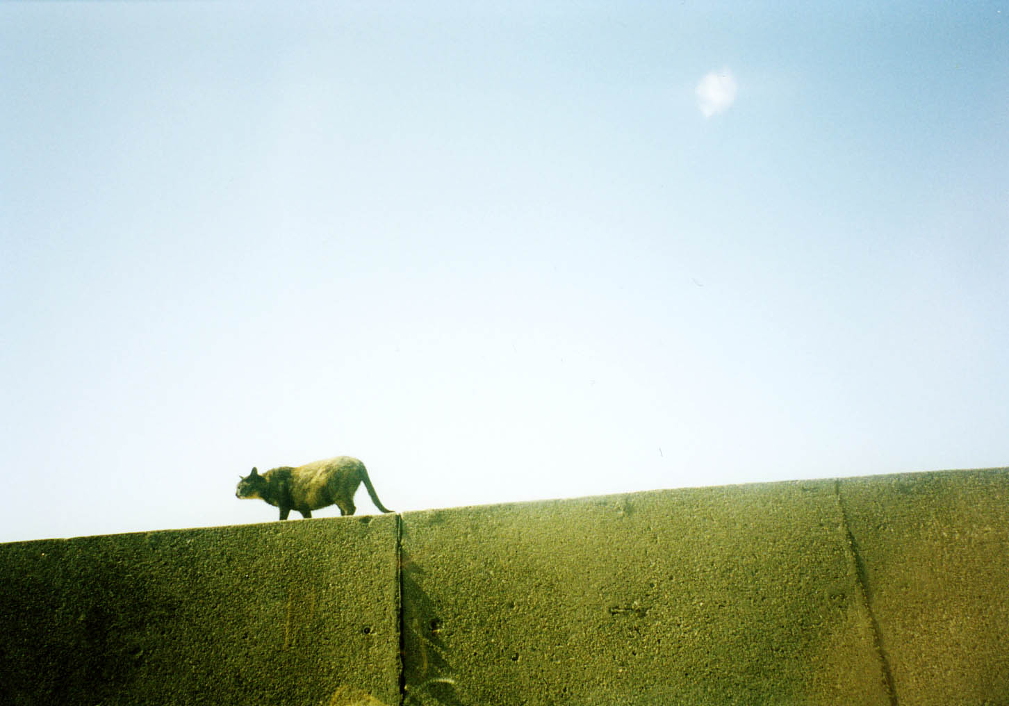 HOME - ROLANDER ローランダー オフィシャルWebサイト