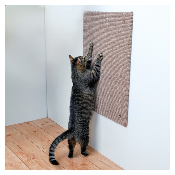 Transformez votre maison en palace pour chat ! - Site de ...