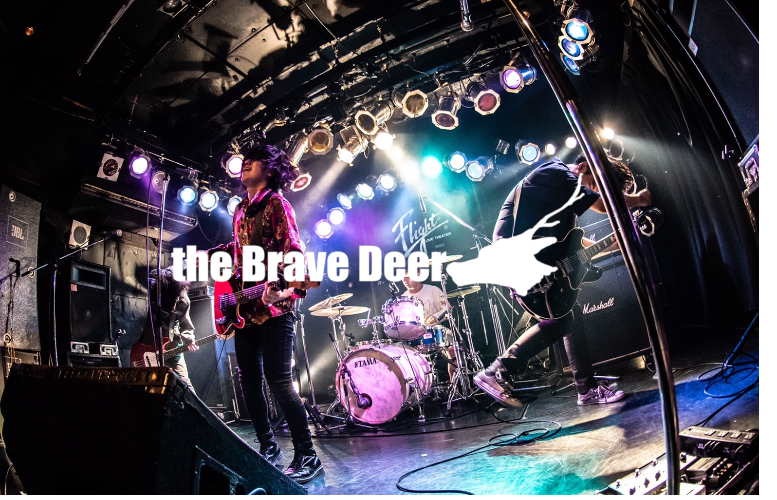 the Brave Deer OFFICIAL SITE - theBraveDeer