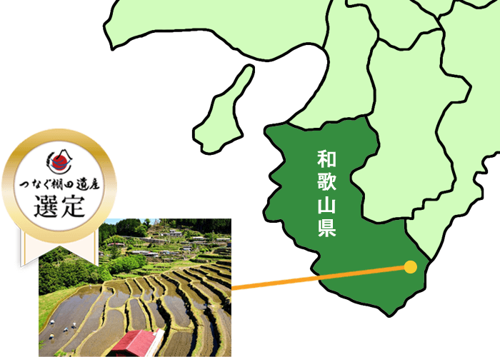 《和歌山県那智勝浦町》色川の米作り体験農場へのアクセス 和歌山 那智勝浦町 色川の棚田においでよ!