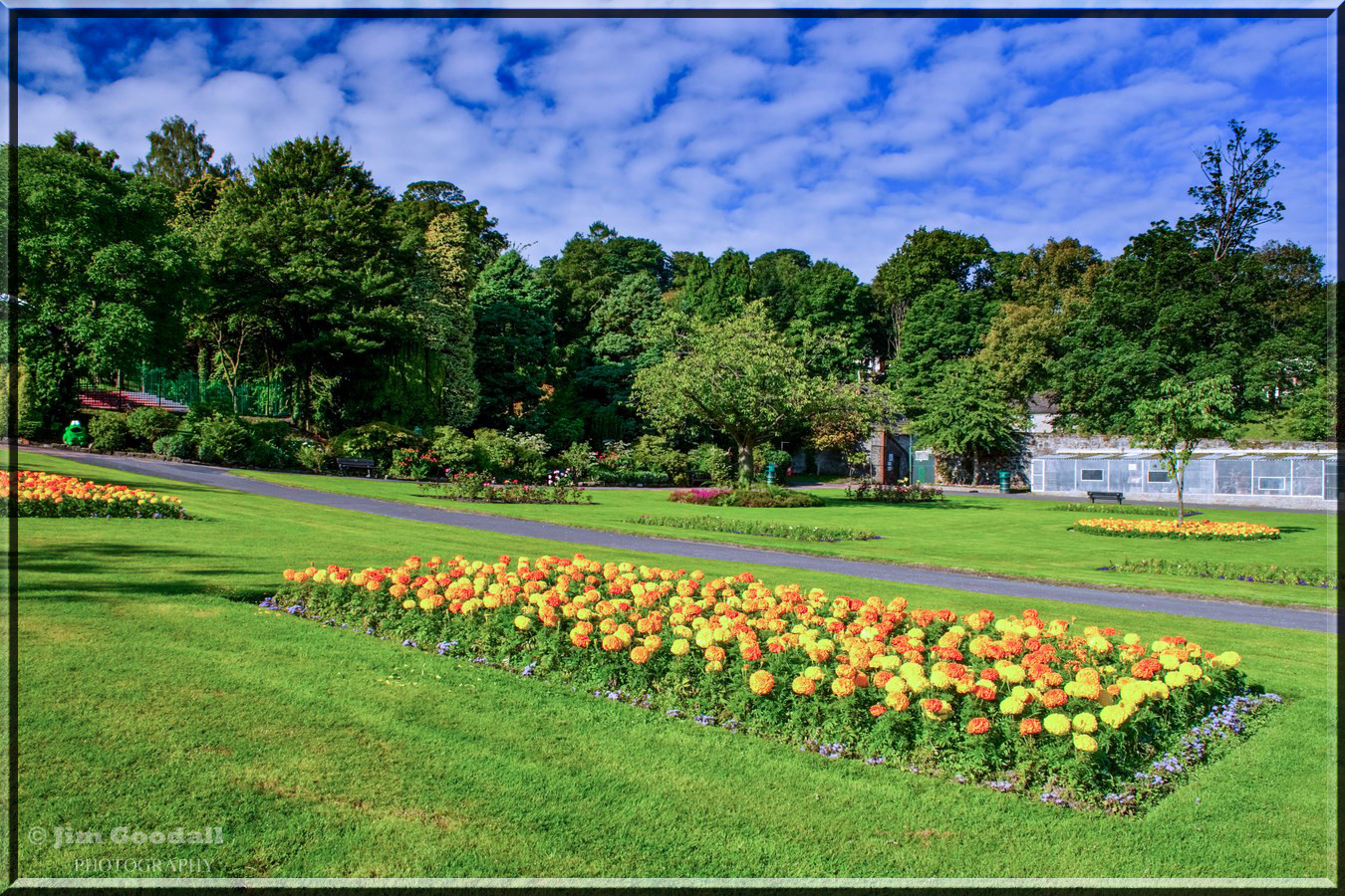 Click on photograph to enlarge. - jimgee