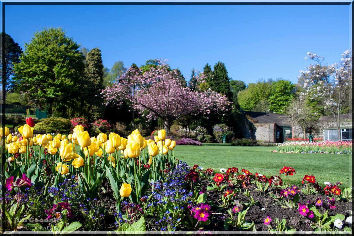 Click on photograph to enlarge. - jimgee