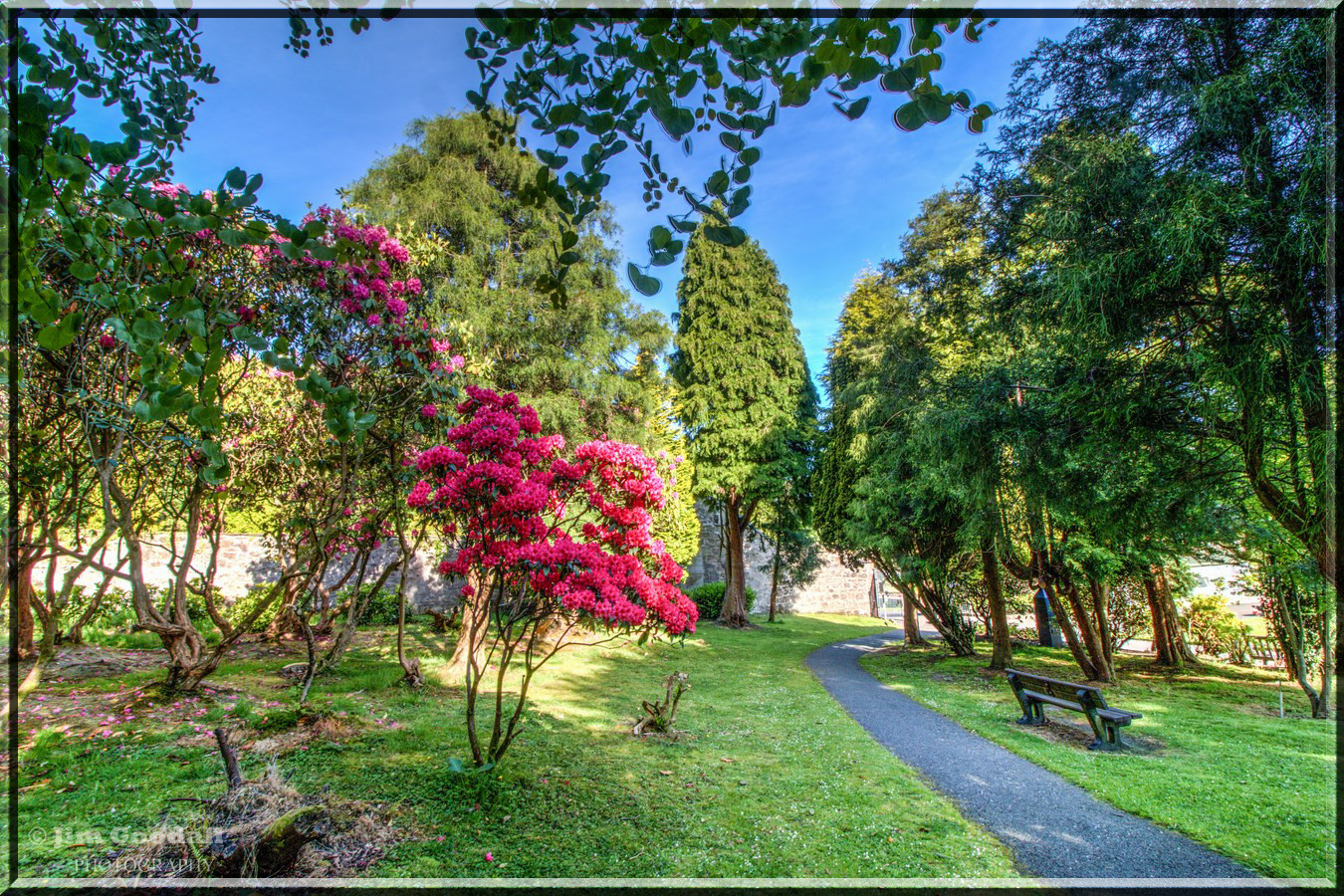 Click on photograph to enlarge. - jimgee