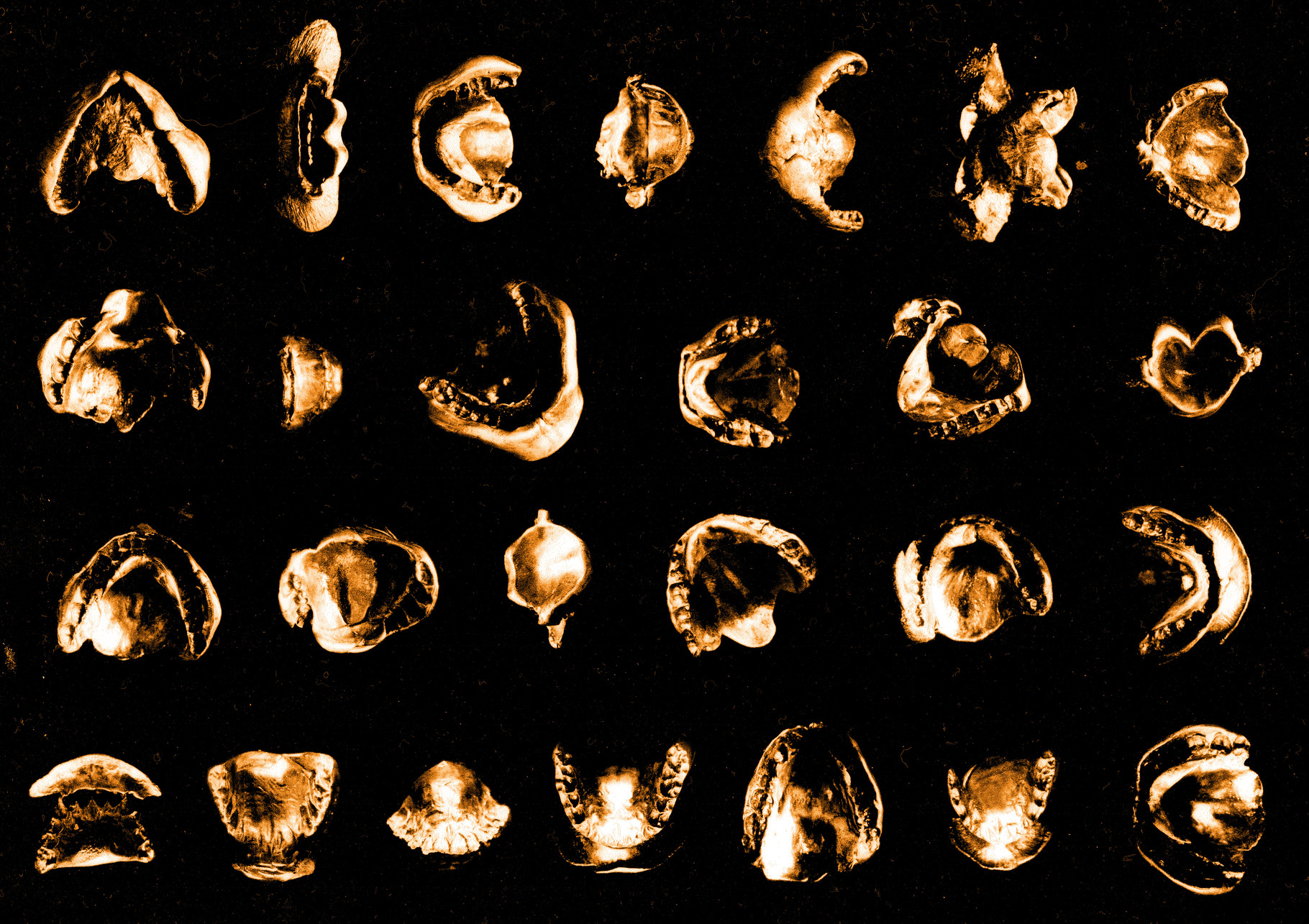"Mother Tongue" I 26 umori della lingua (Grafono) - giAcomo Alef ...