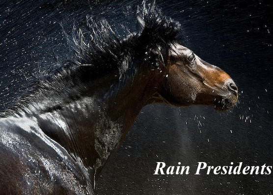 Videos - rainpresidents-sso