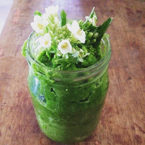 Accueil - bonobonheur