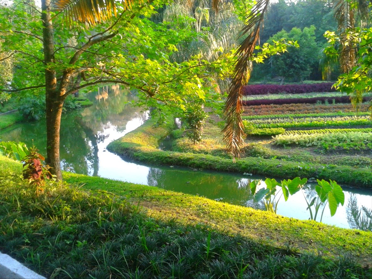 Filid Mexico - filid