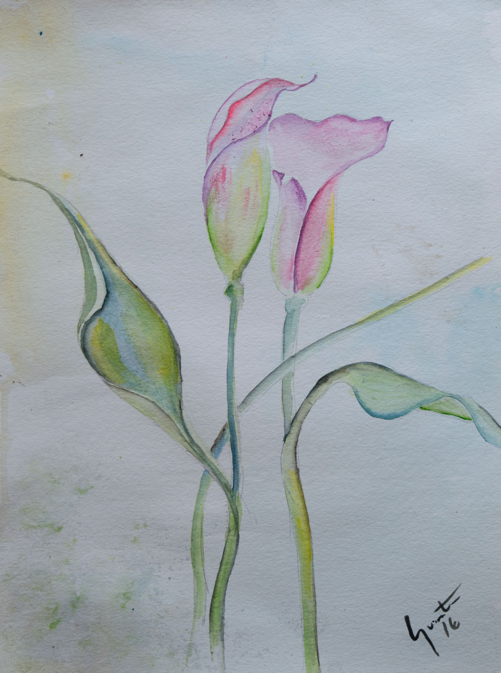 Watercolor - Gunter's Fine Art, Modern Metal Art