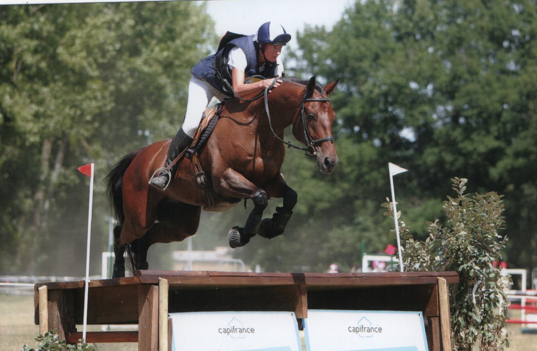 Qui sommes nous - les ecuries des chartres poney club à Pons en ...