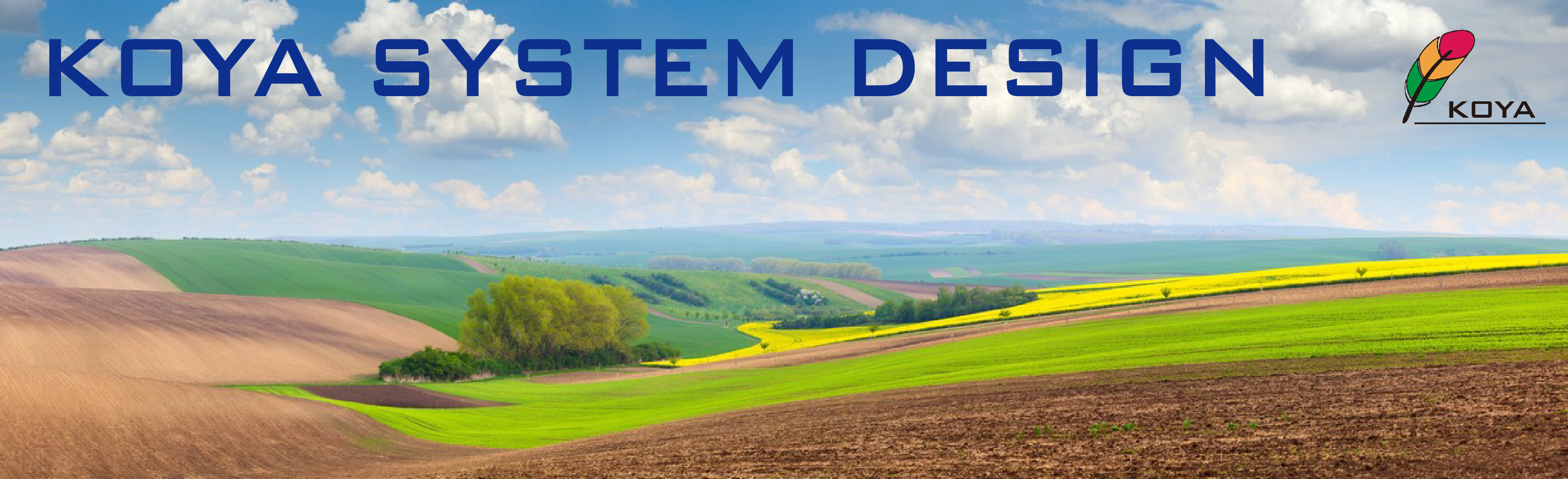 子供、シニア用車いすのコーヤシステムデザイン - KOYA SYSTEM DESIGN