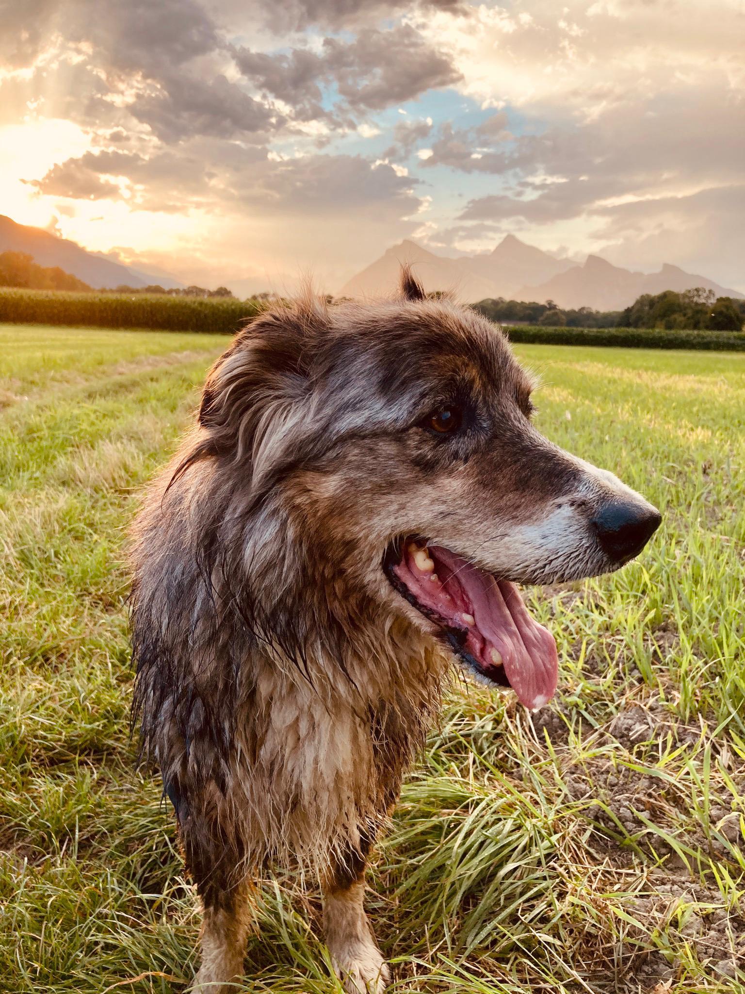 Über uns - Hof Eggenberger Jenins