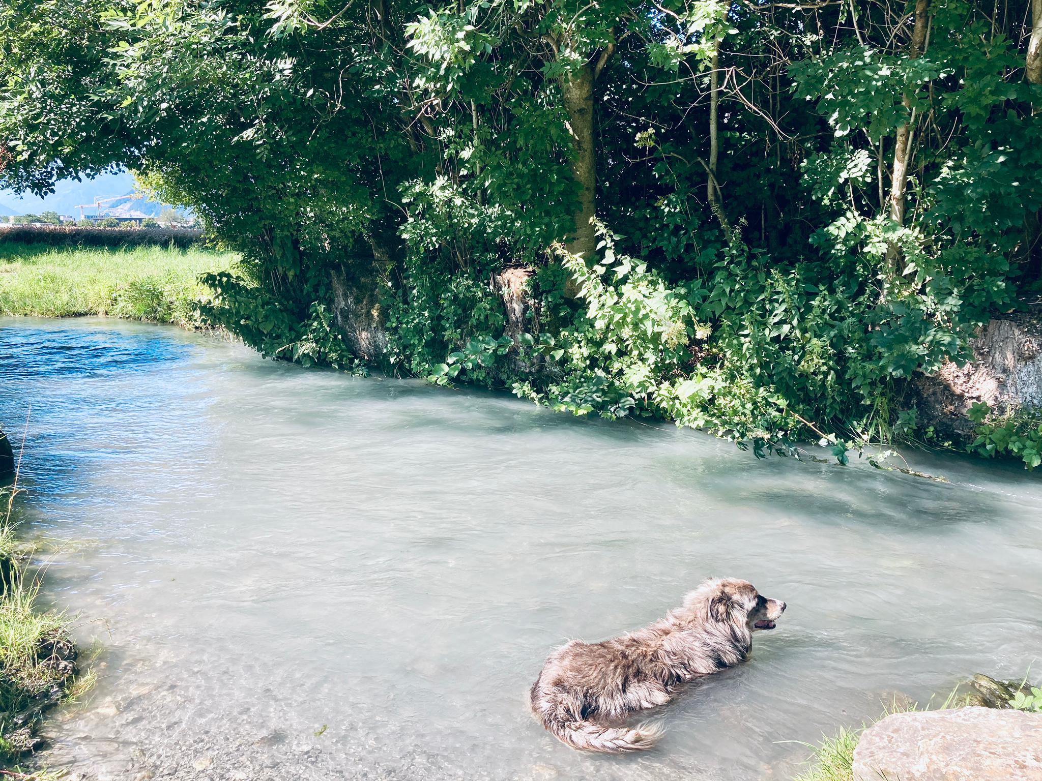 Über uns - Hof Eggenberger Jenins