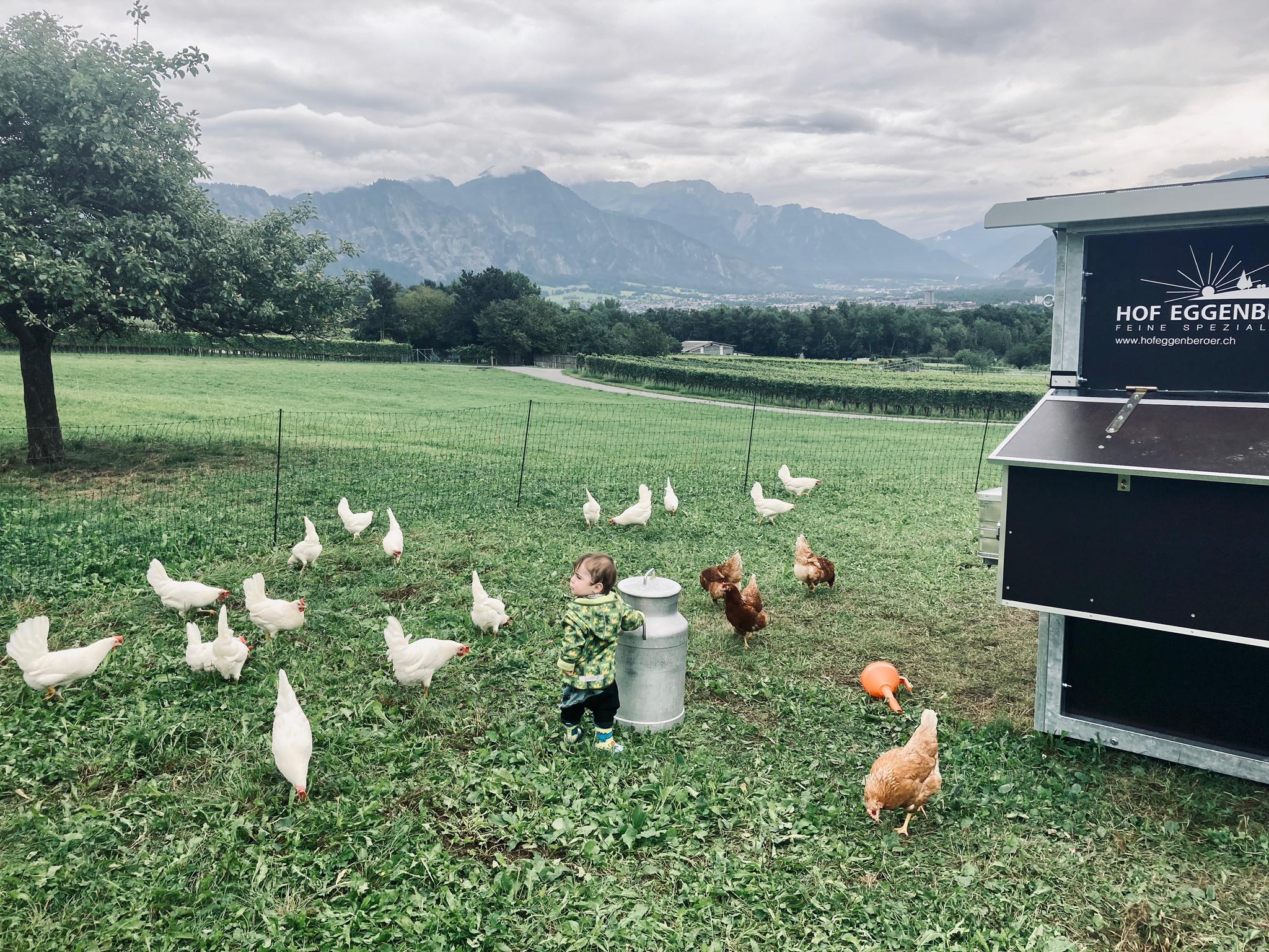 Über uns - Hof Eggenberger Jenins