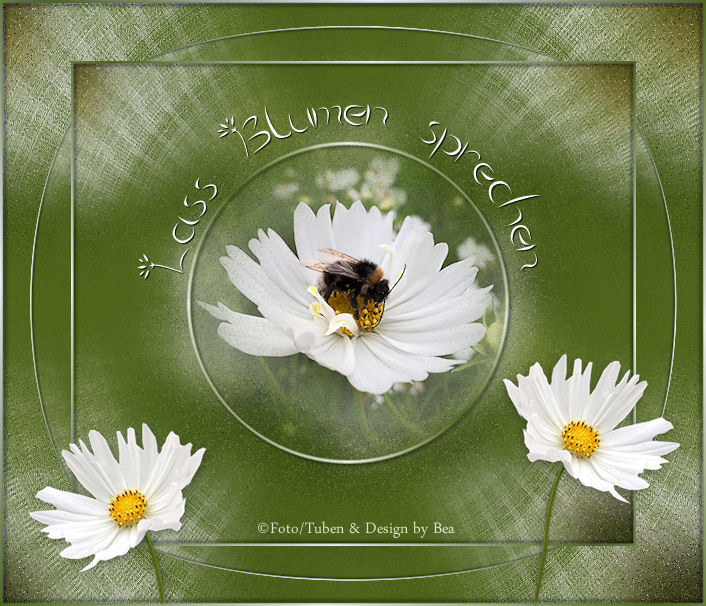 Signtag Lass Blumen sprechen - grafik-mixs Webseite! Signtag Lass Blumen sprechen - grafik-mixs Webseite!