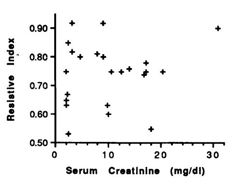 Duplex Doppler Estimation of Intrarenal Pourcelot Resistive Index in ...