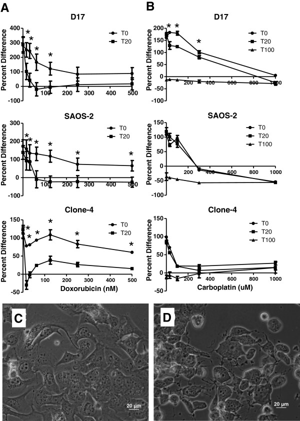 The effects of taurolidine alone and in combination with doxorubicin or ...