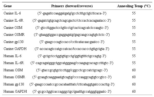 Oncostatin M promotes STAT3 activation, VEGF production, and invasion ...