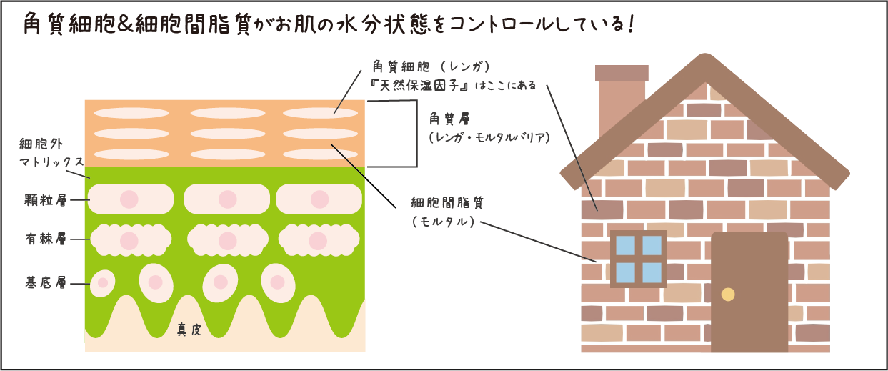 温度湿度に影響されずにしっかり保湿！PCA-Na（ピロリドンカルボン酸）。 - ホワイトラボ