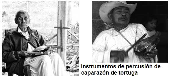 Cambiable Mediana científico caparazon de tortuga instrumento musical ...