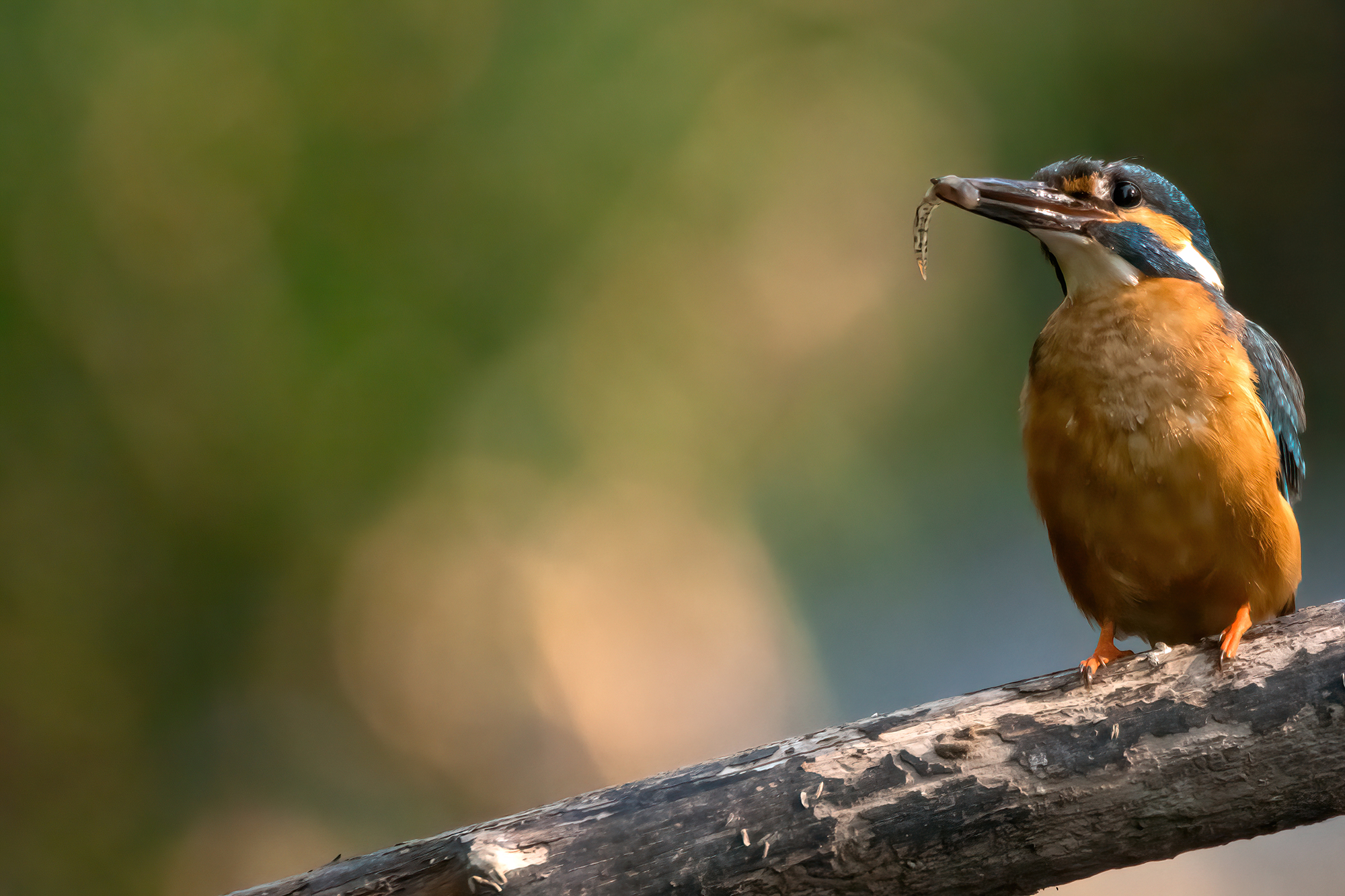 Mondfotografie - Kirsch-Photography | by Benedikt Kirsch