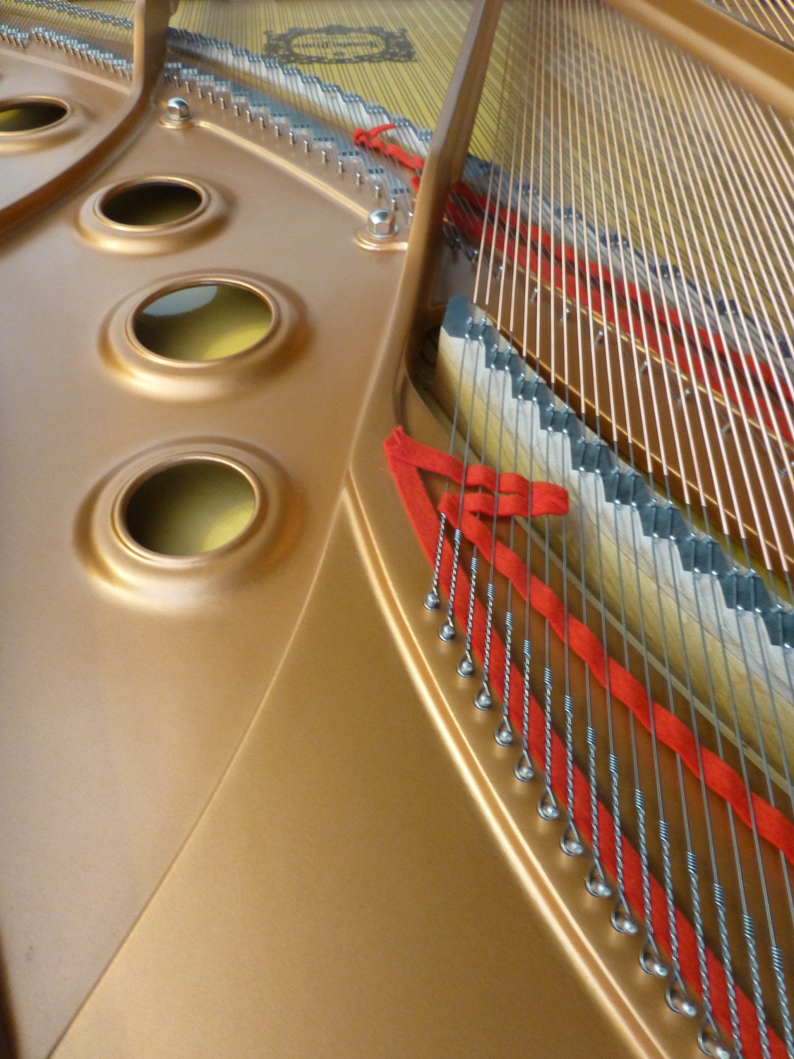 Markus Seeger - Städtische Musikschule Viernheim