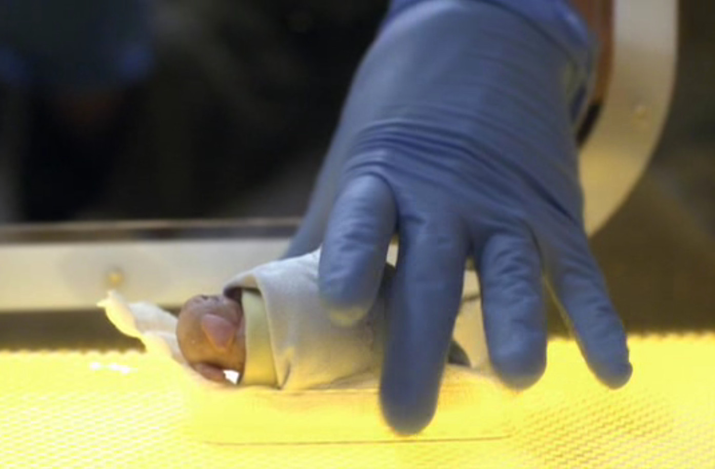 Jen Crane - Defying Gravity Costumes & Props