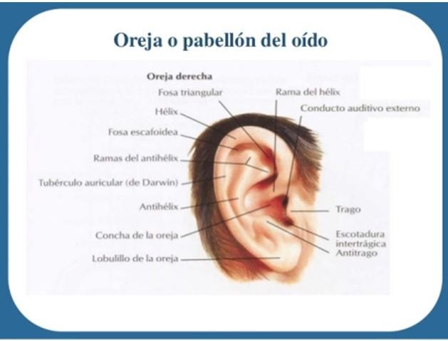 ASPECTOS GENERALES DE LA BIOMETRÍA EN LA IDENTIFICACIÓN PERSONAL ...