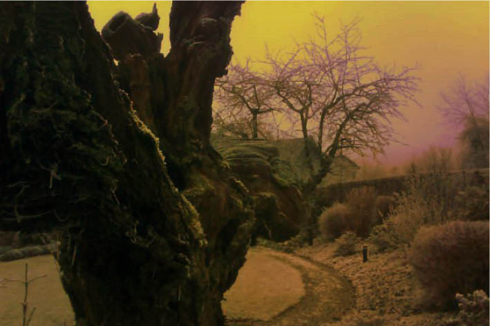 as Photographer - Felicia Peters - Singer/Songwriter