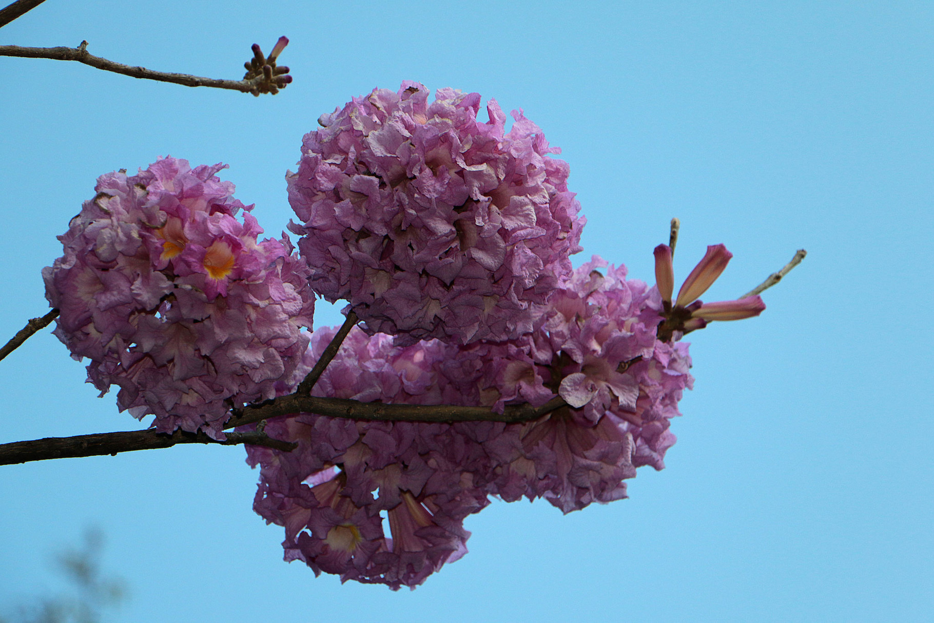 Desde nuestros inicios... - Macuilis: Mermeladas, Salsas & Conservas ...