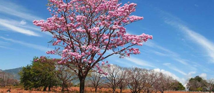 Desde nuestros inicios... - Macuilis: Mermeladas, Salsas & Conservas ...