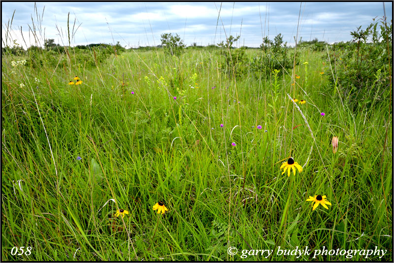/Prairie Scenes/ - imagesofmanitoba