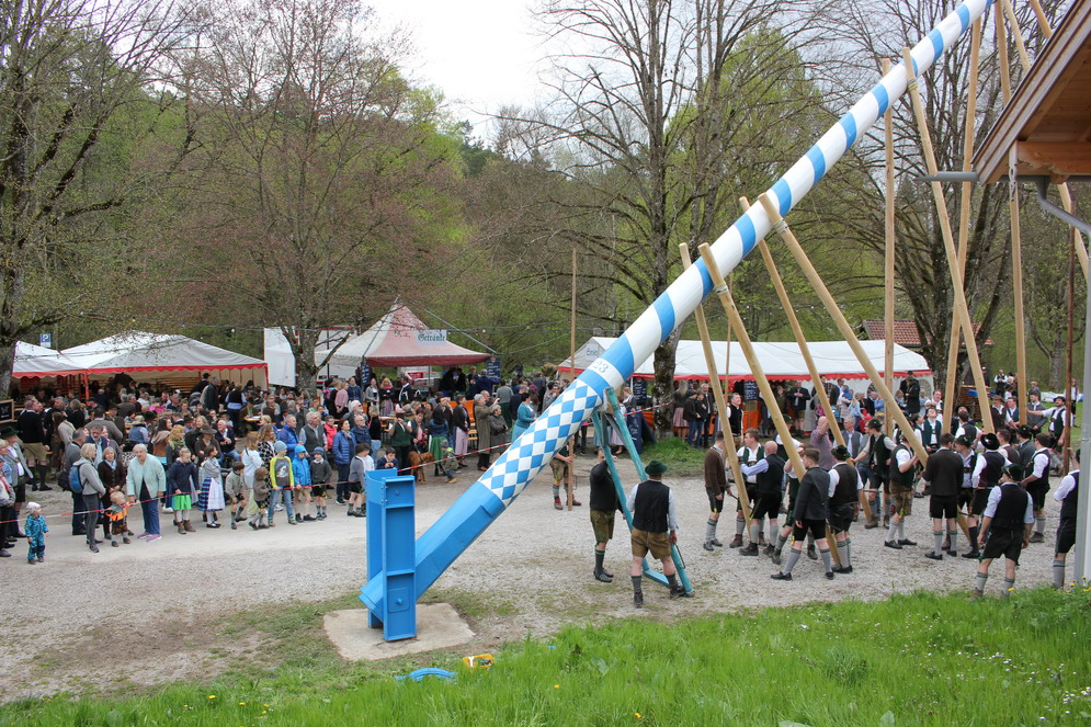Maibaumaufstellen in Naring - bvholzollings Webseite!