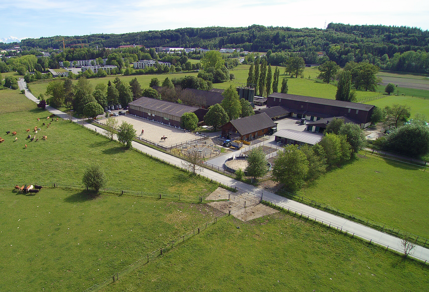 Herzlich Willkommen auf der Fohlenweid - fohlenweid-bremgarten | Das ...