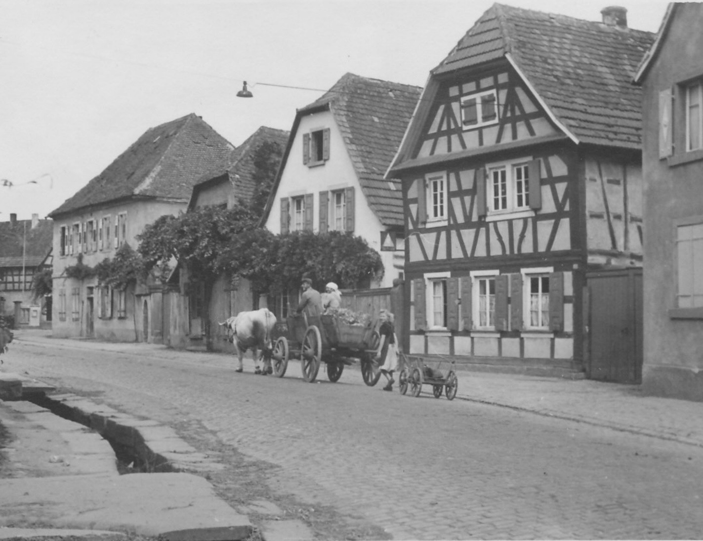 Willkommen auf der Homepage des Vereins für Heimatpflege Geinsheim e.V ...