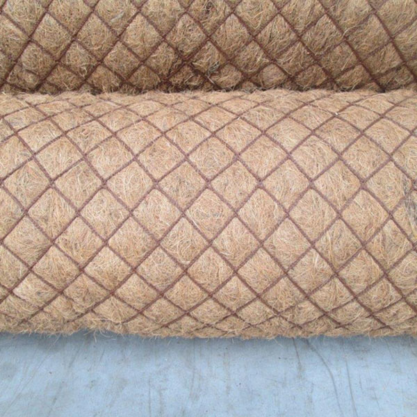 Fascine coco - Bio Green Solutions, Contrôle de l'érosion et ...