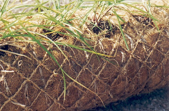 Fascine coco - Bio Green Solutions, Contrôle de l'érosion et ...