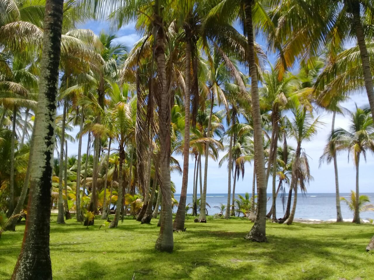 Isla Lobos, Tamiahua. - papantourss Webseite!