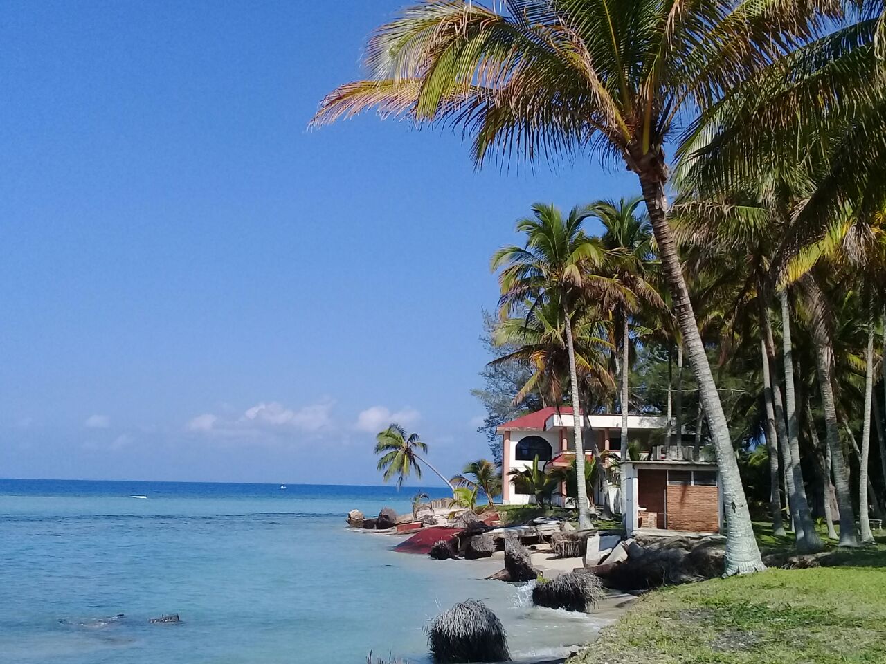 Isla Lobos, Tamiahua. - papantourss Webseite!