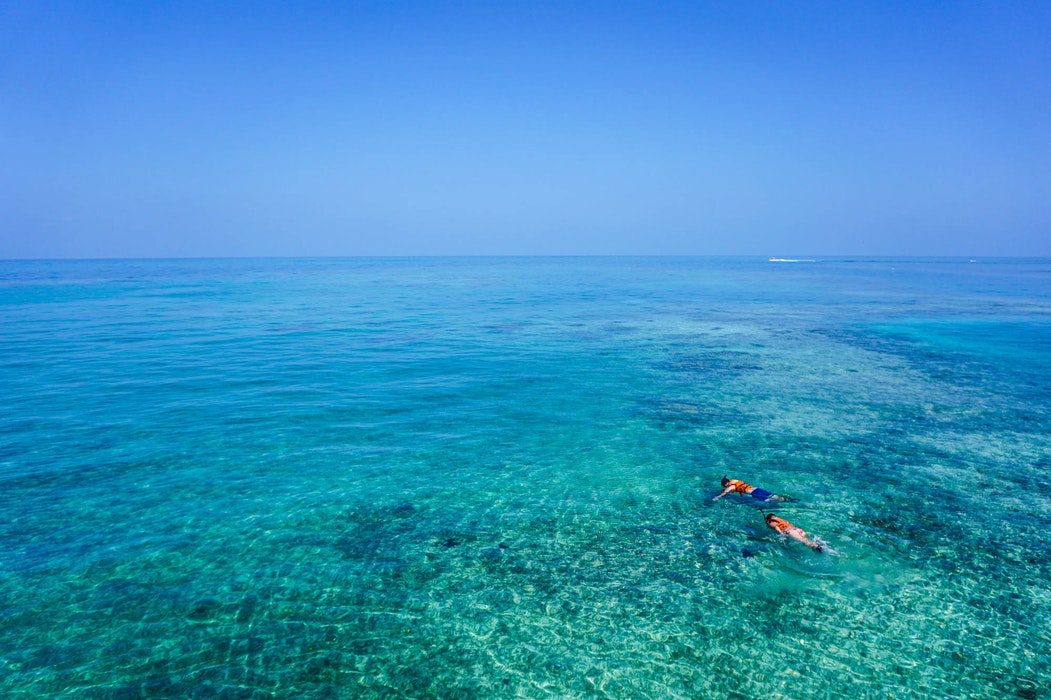 Isla Lobos, Tamiahua. - papantourss Webseite!