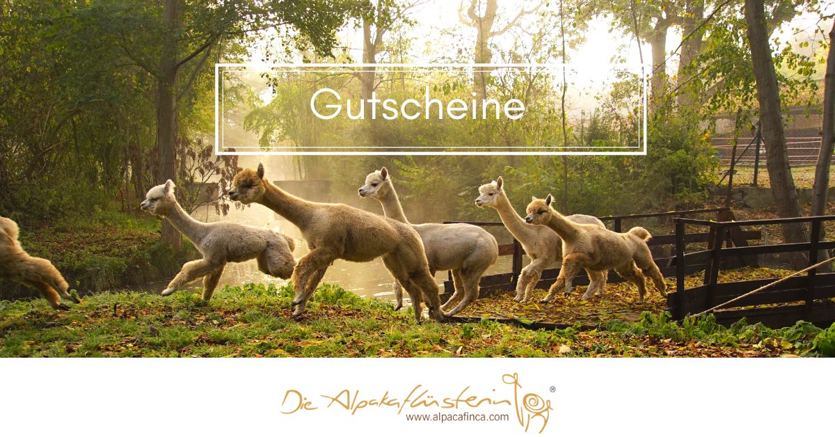 GUTSCHEINE - Die Alpakaflüsterin | Alpaca Finca im Spreewald | Alpaka ...