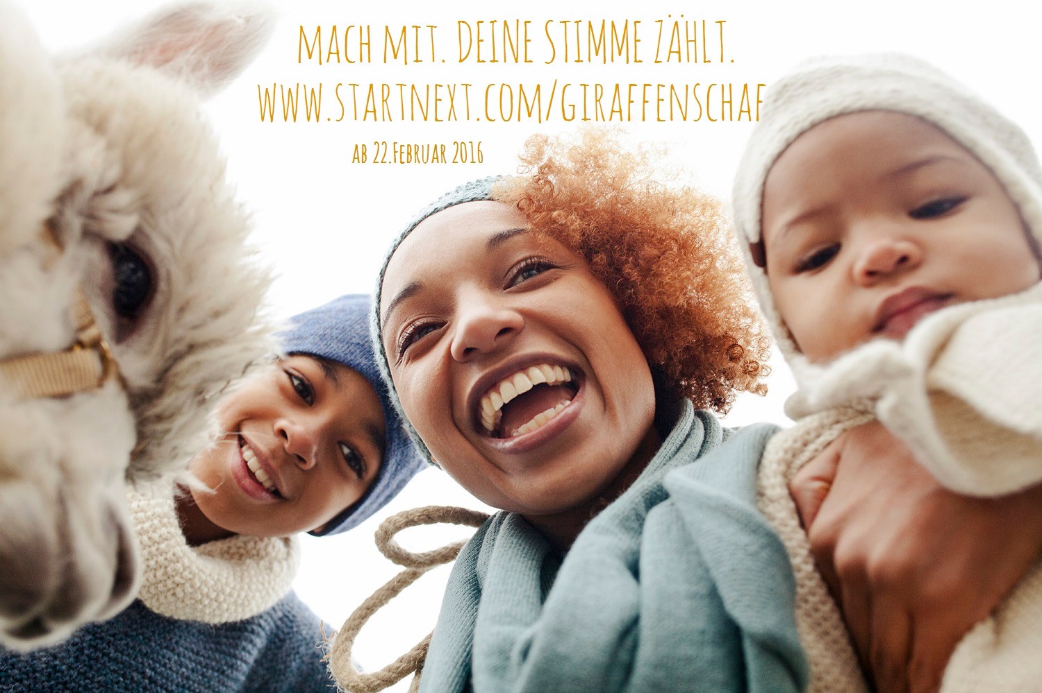 [12.Februar 2015] Unsere Crowdfunding Kampagne! - Die Alpakaflüsterin ...
