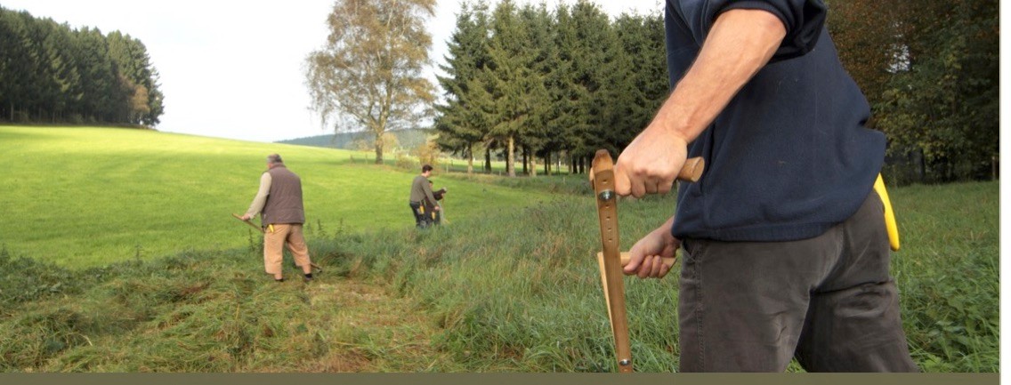 Sensenkurs - Sensen und Dengeln - NABU Oberberg