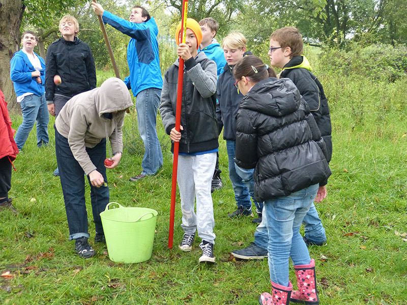 Projektwoche der Mittelstufe zum Thema Apfel - Wartbergschule Friedberg
