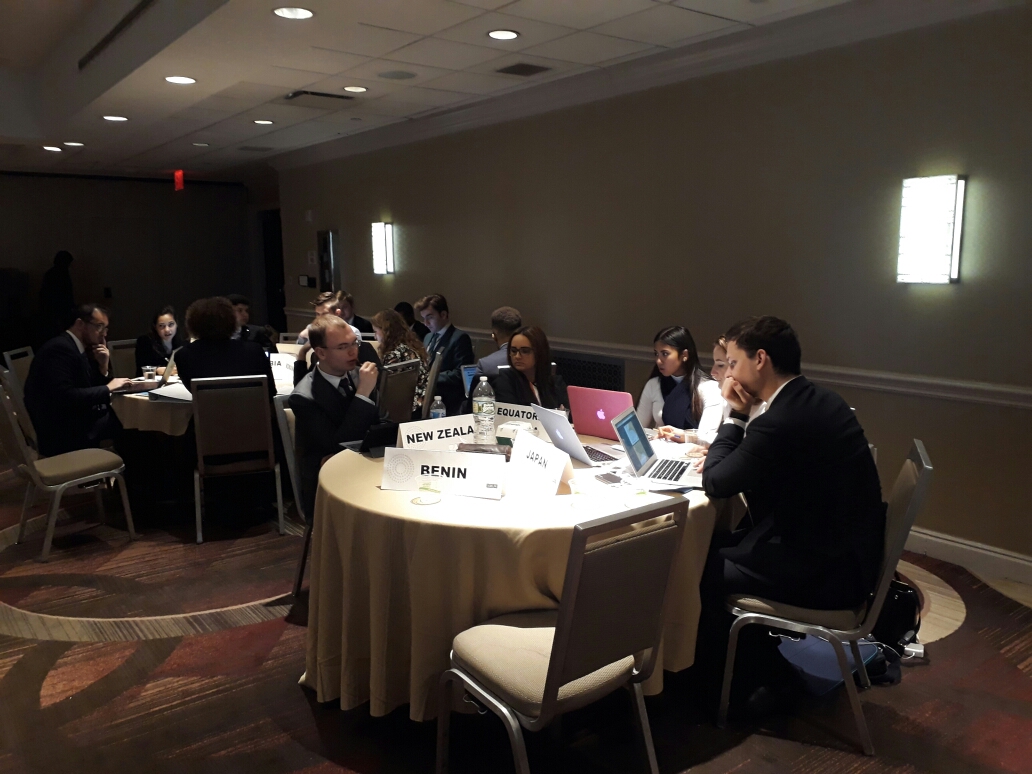 Welcome to The National Model United Nations Preparation Phases ...