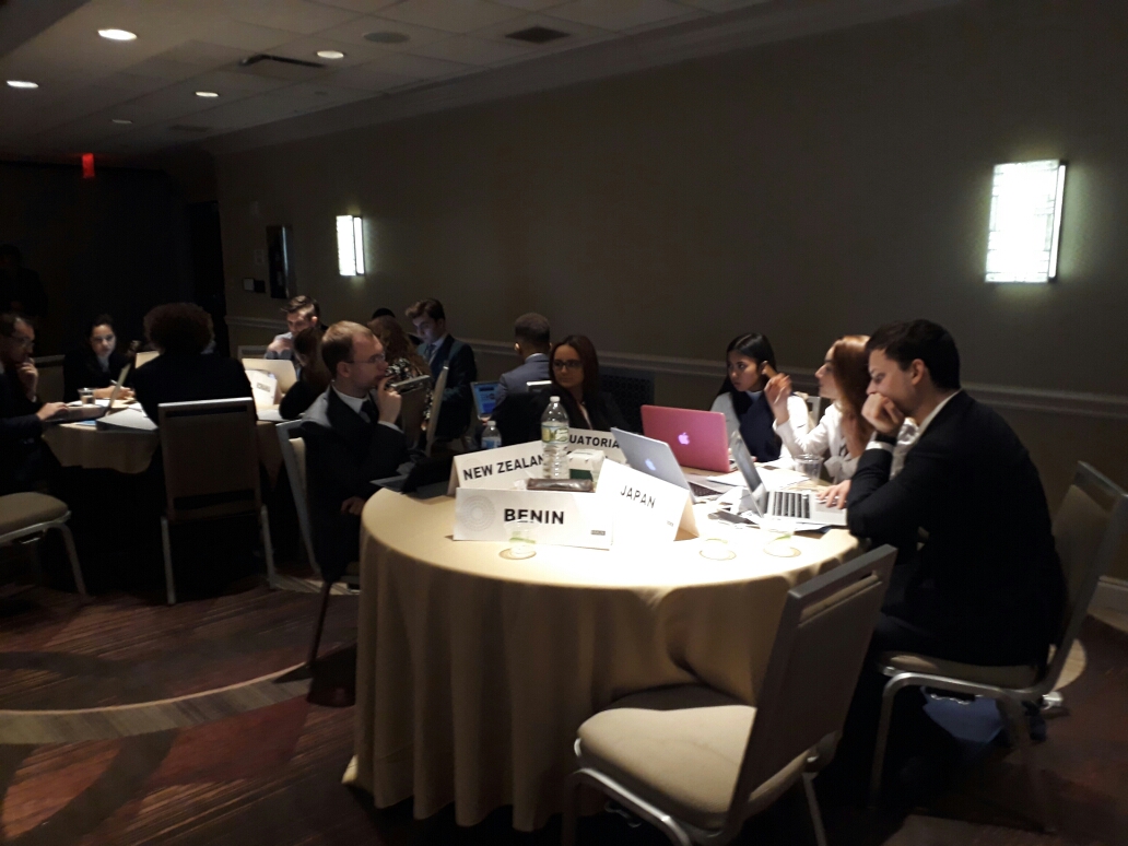 Welcome to The National Model United Nations Preparation Phases ...