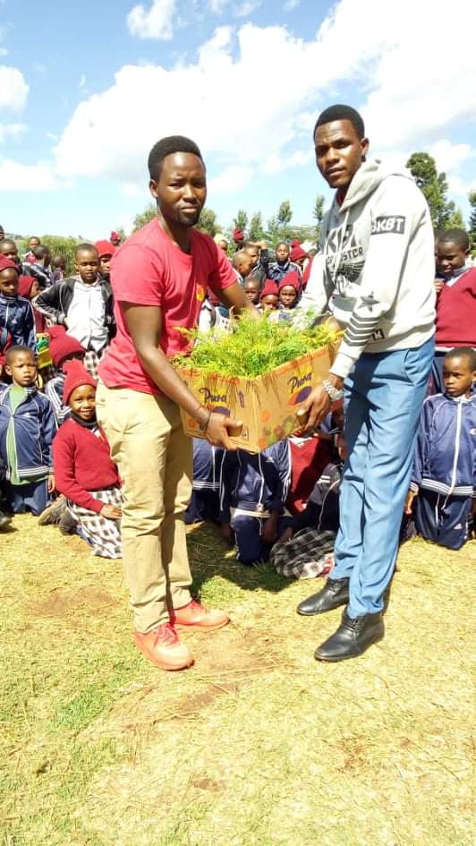 Planting MangoTrees - loliondo-for-green-earths Webseite!