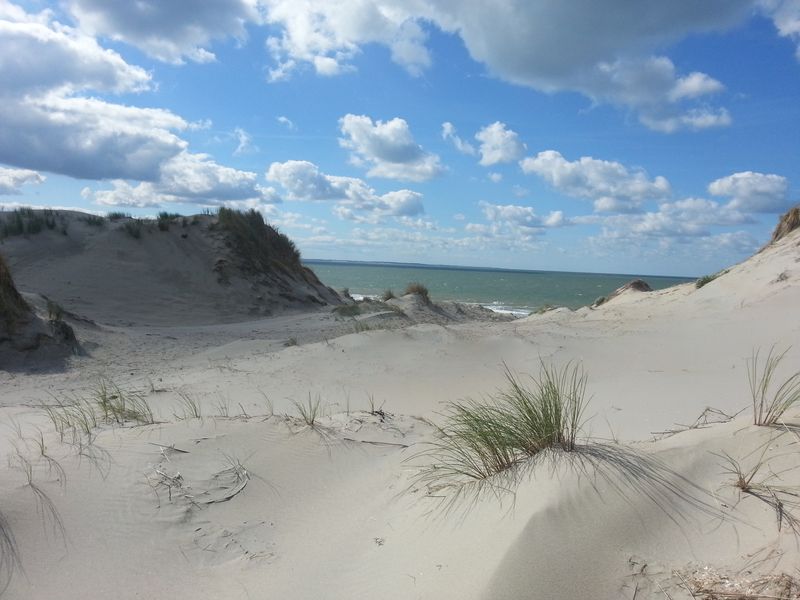 Traumhaft schöner Sandstrand - zeelandliebes Webseite!