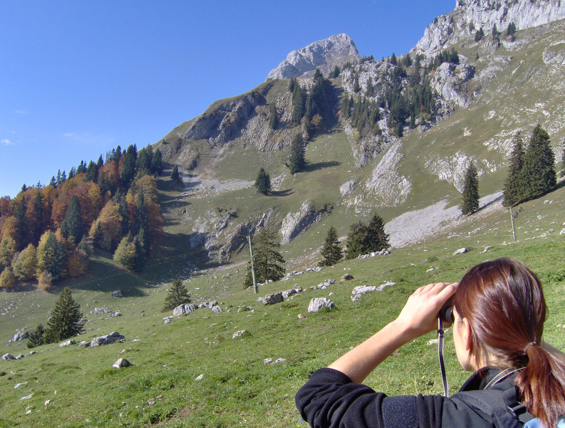 NATURE HIKES - Viaggi Natura Birdwatching Fotografia Naturalistica ...