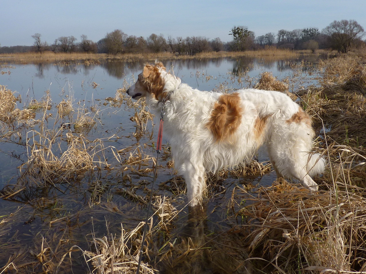 Meine Assistenten - tierkommunikation-astrid-aigner ...